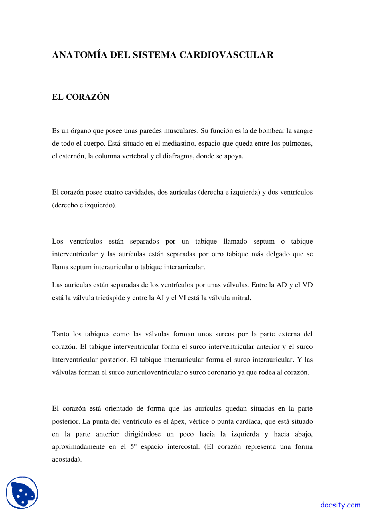 Anatomia Del Sistema Cardiovascular Apuntes Anatomía Parte 1