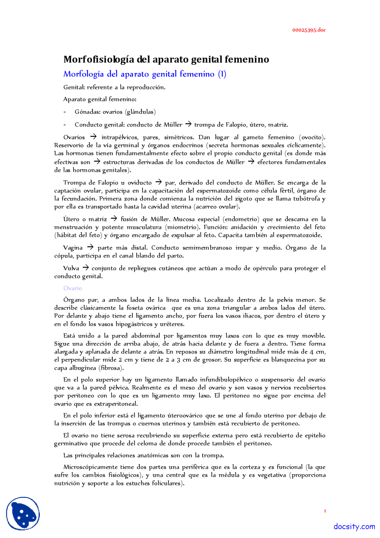 Aparato Genital Femenino Apuntes Obstetricia Docsity