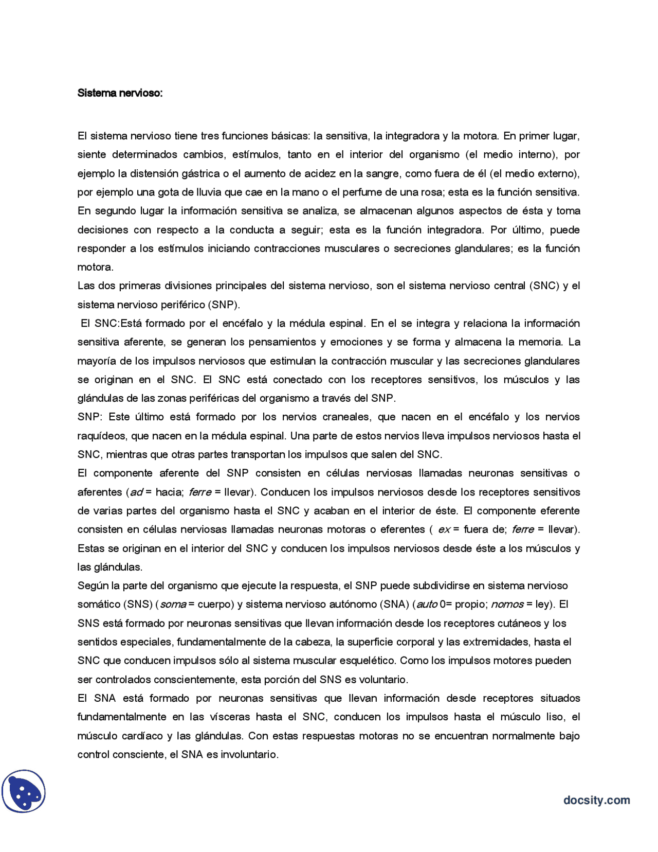 Sistema Nervioso Apuntes Histologia Docsity