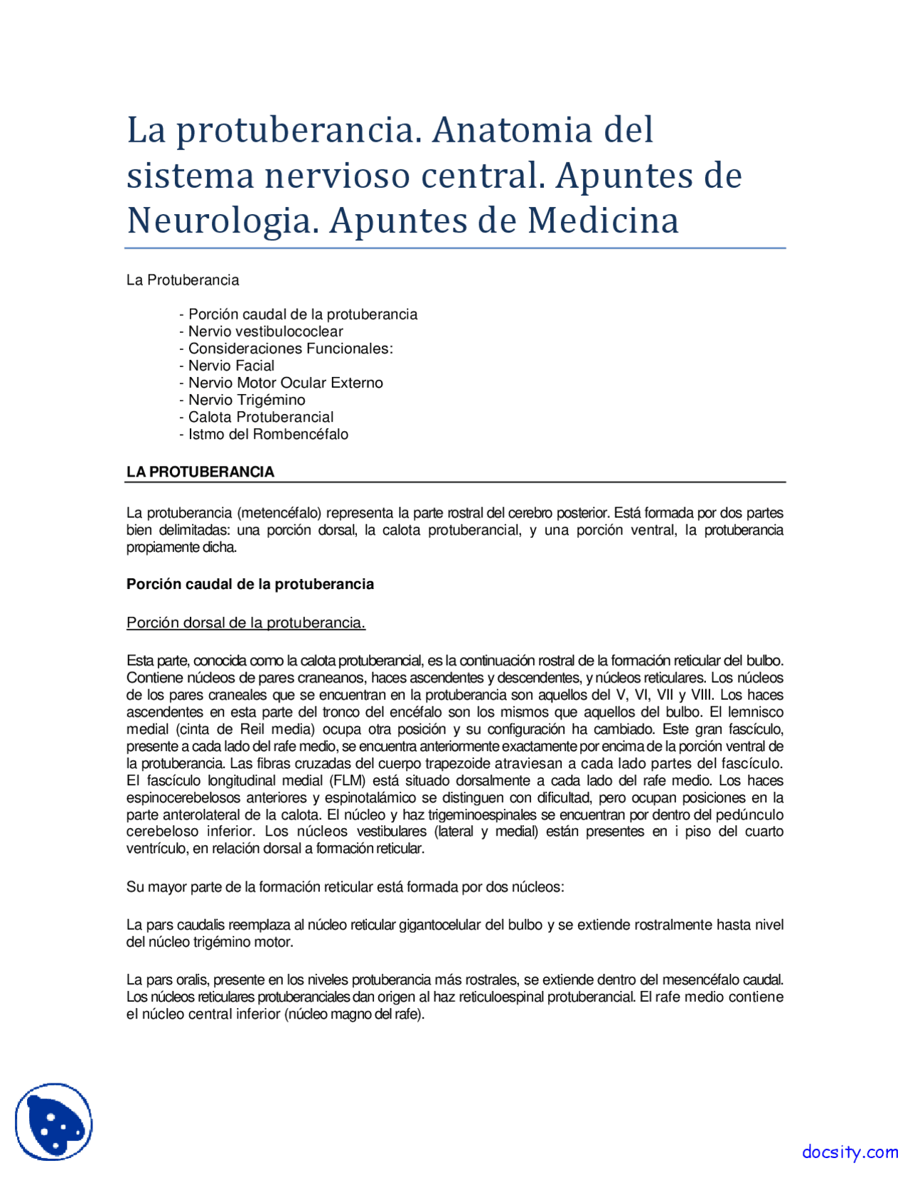 La protuberancia - Apuntes - Anatomia | Apuntes de Anatomía | Docsity