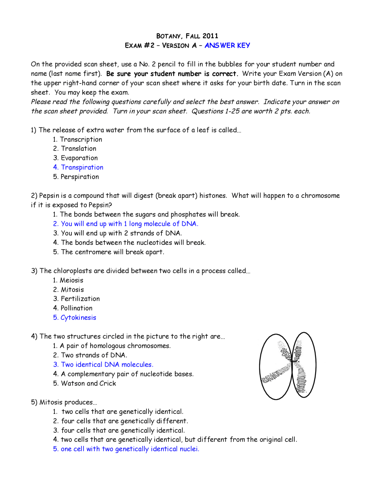 Exam 2A with Answer Key - General Botany with Laboratory | BIO_SC 1200 ...