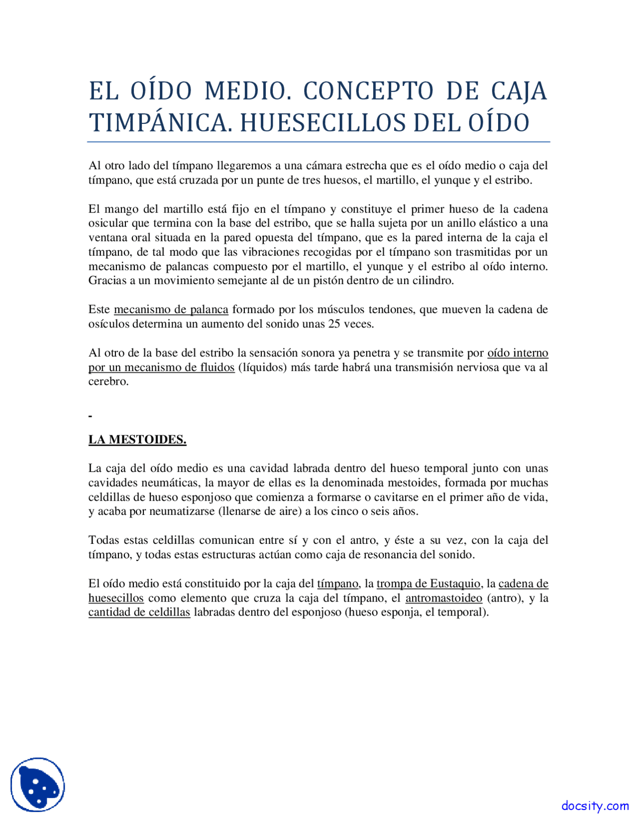 Oído Medio Apuntes Anatomía Docsity