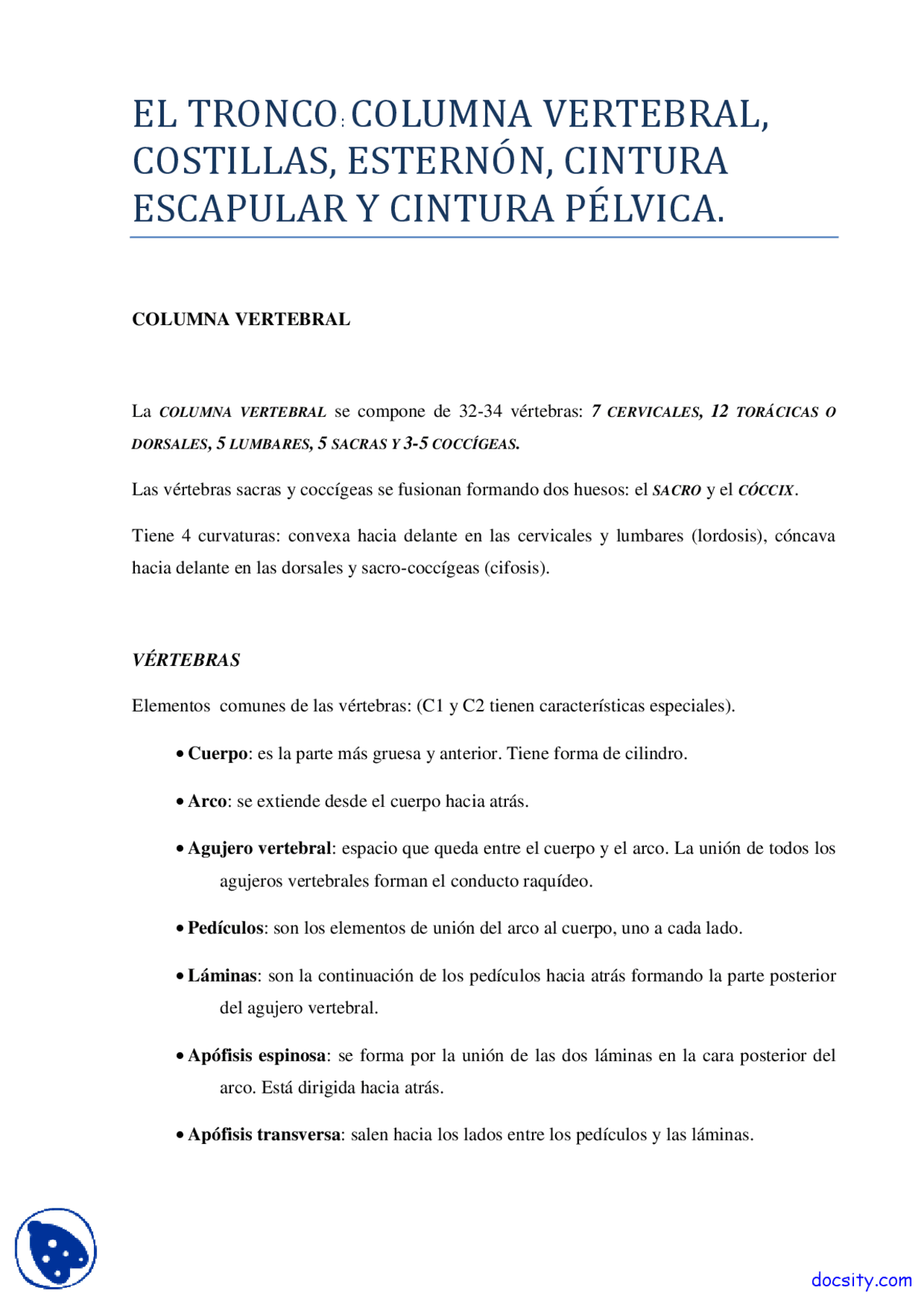 Tronco Apuntes Anatomía Docsity