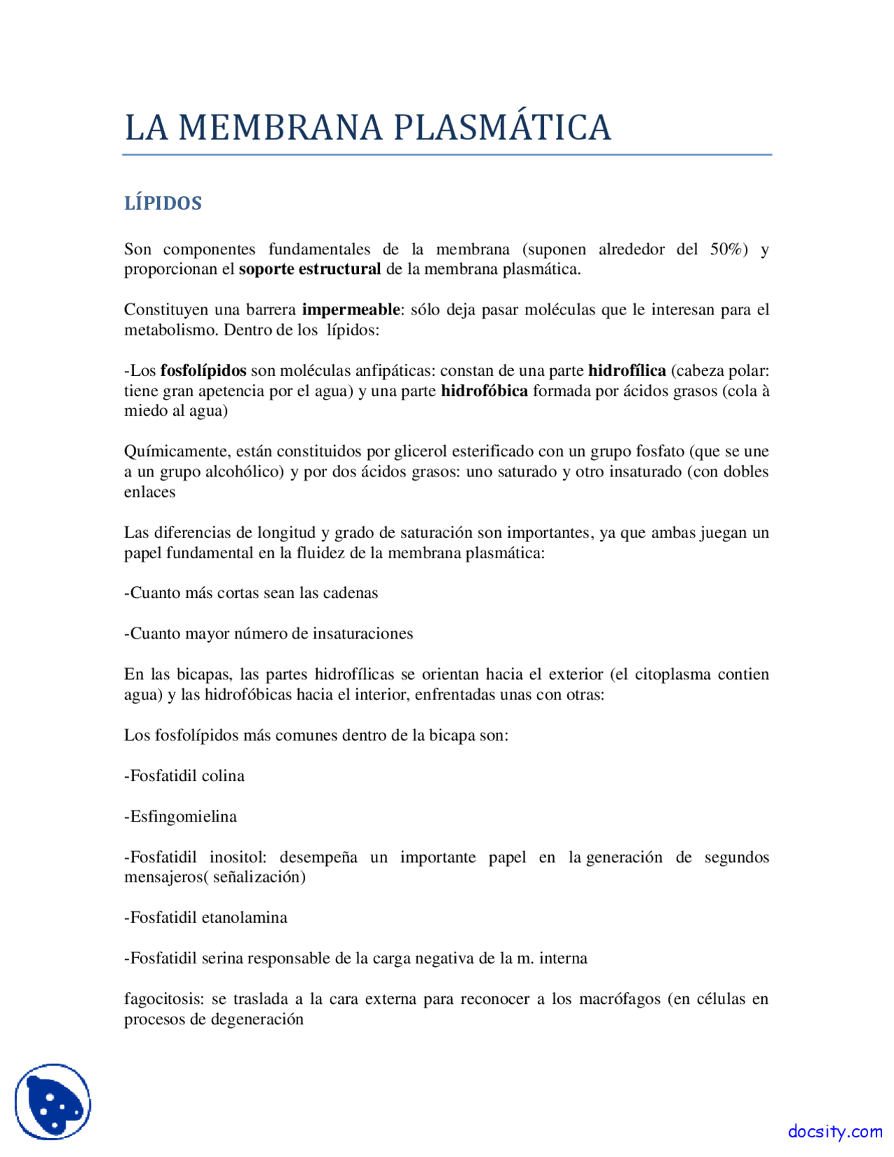 Membrana Plasmática Apuntes Bioquímica Docsity