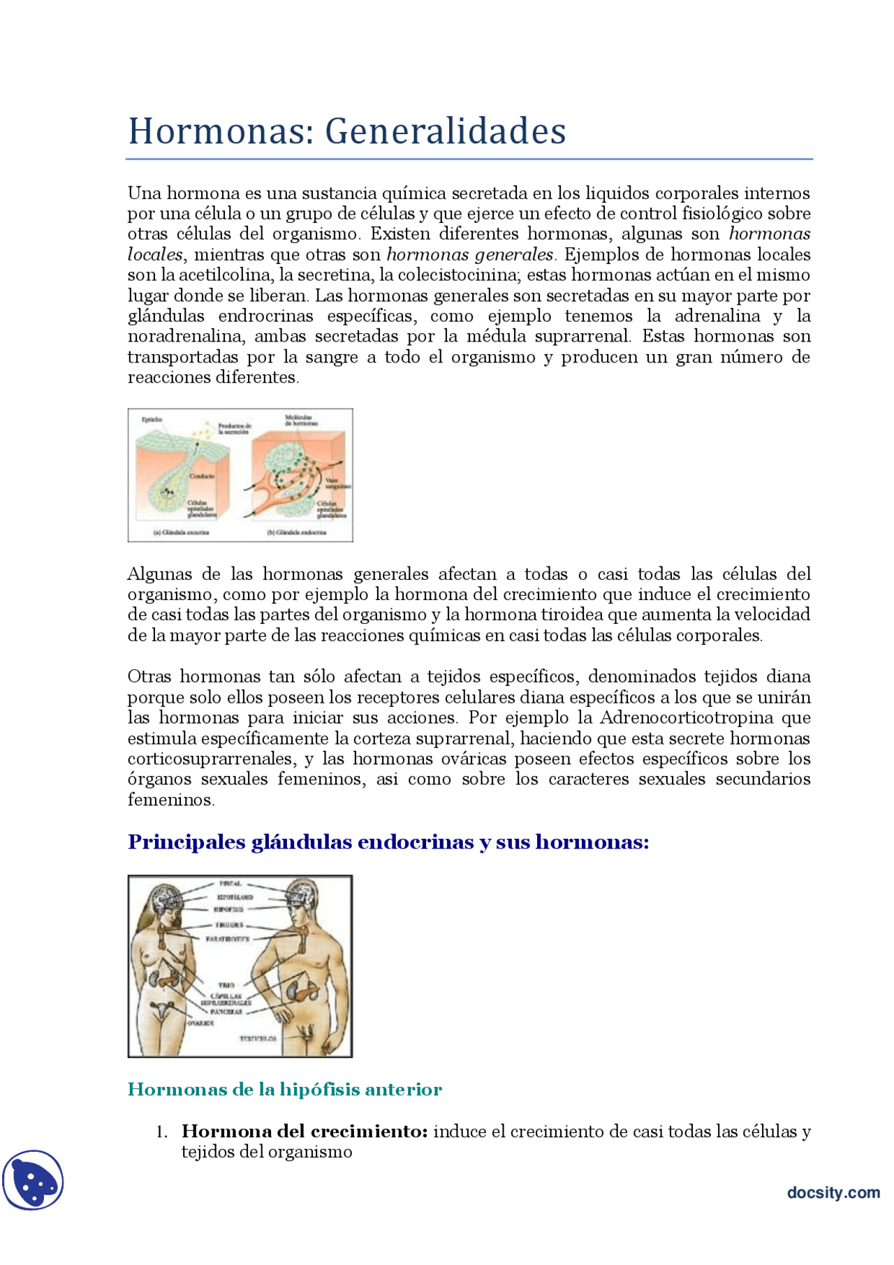 Hormonas Apuntes Endocrinología Docsity