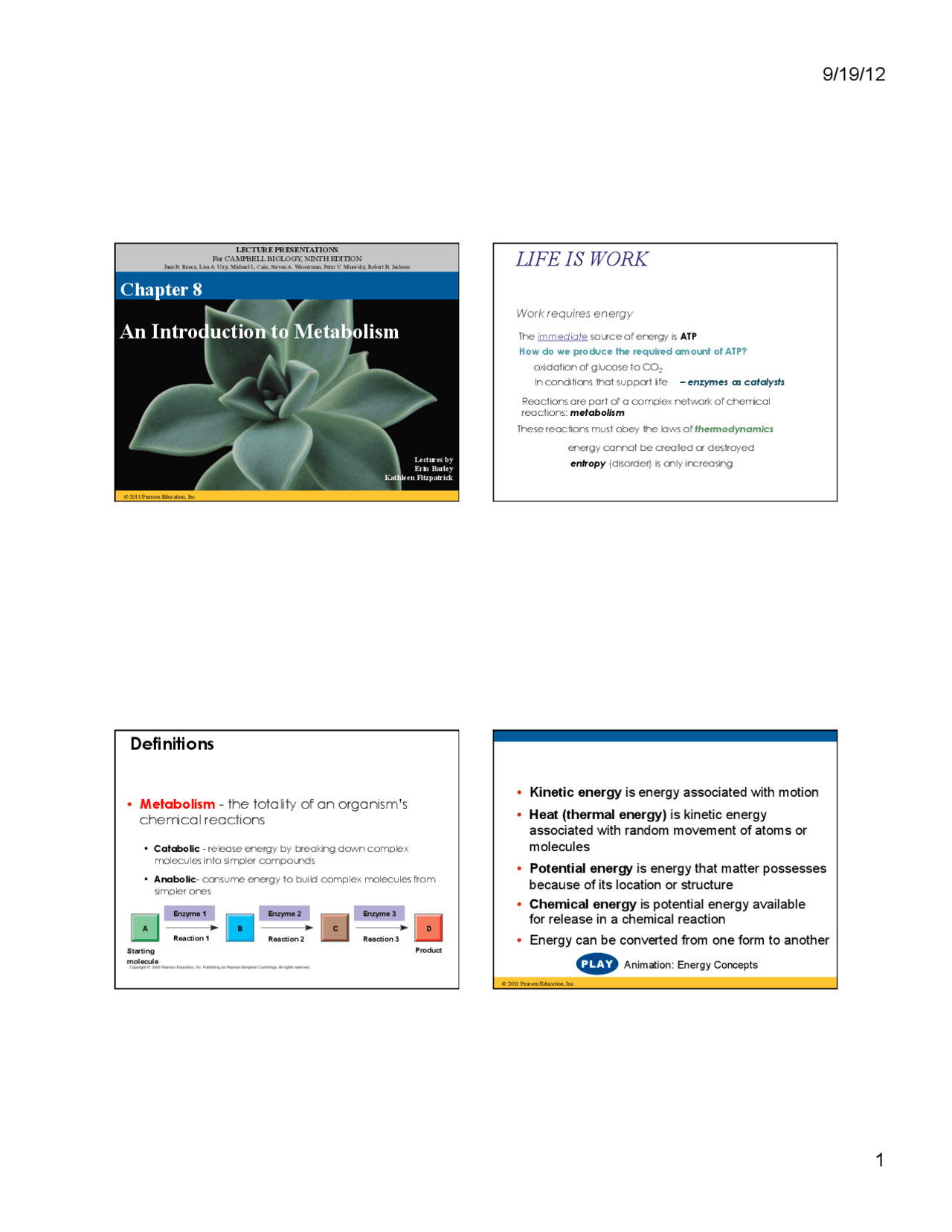 An Introduction Of Metabolism Biology For Science Lecture Slides
