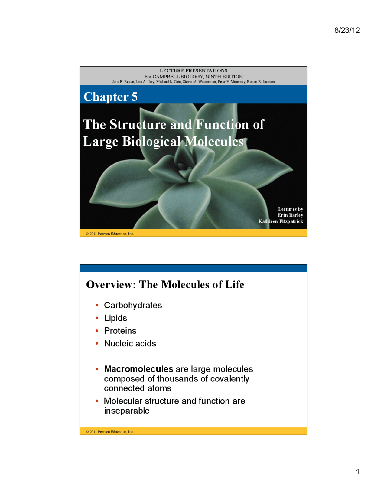 The Structure and Function of Large Biological Molecules - Slides ...