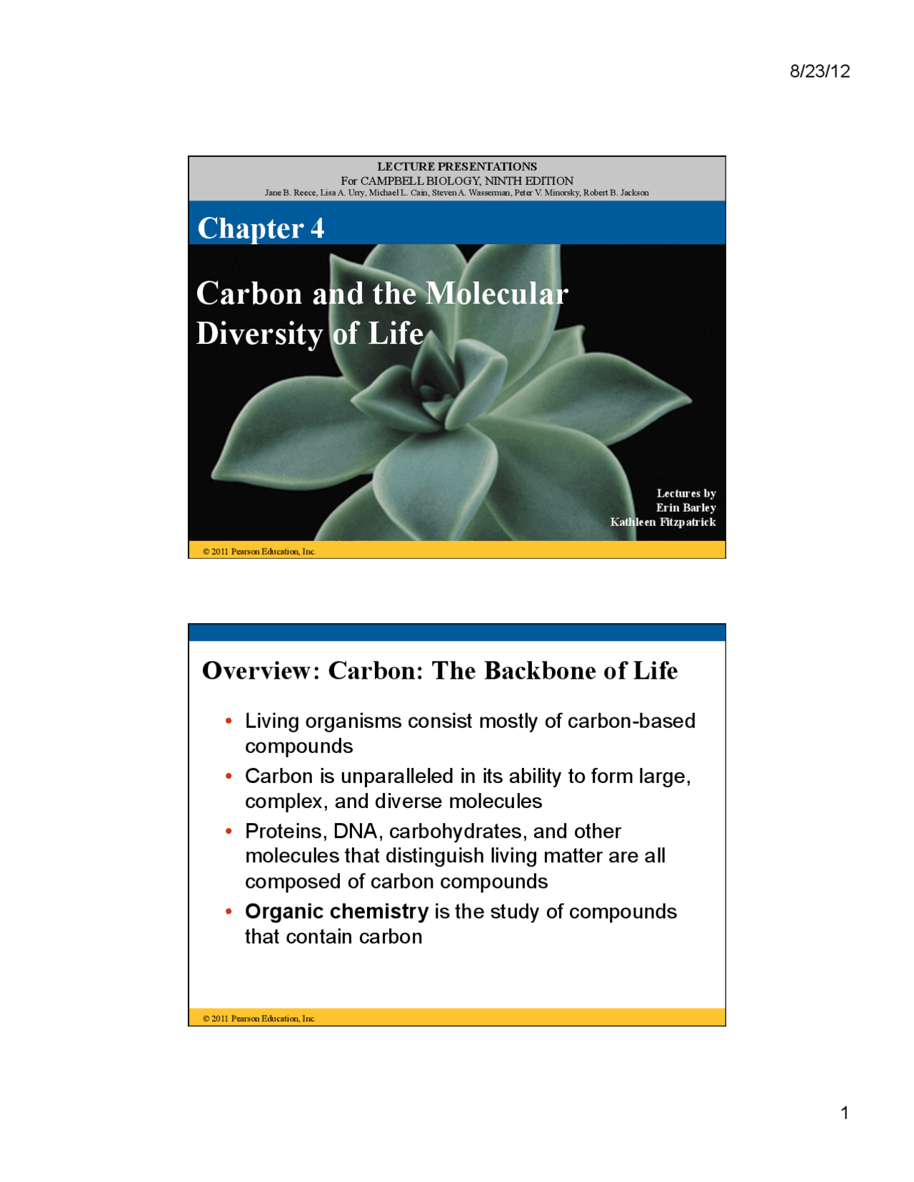 Carbon And The Molecular Diversity Of Life Lecture Notes Biol 1201