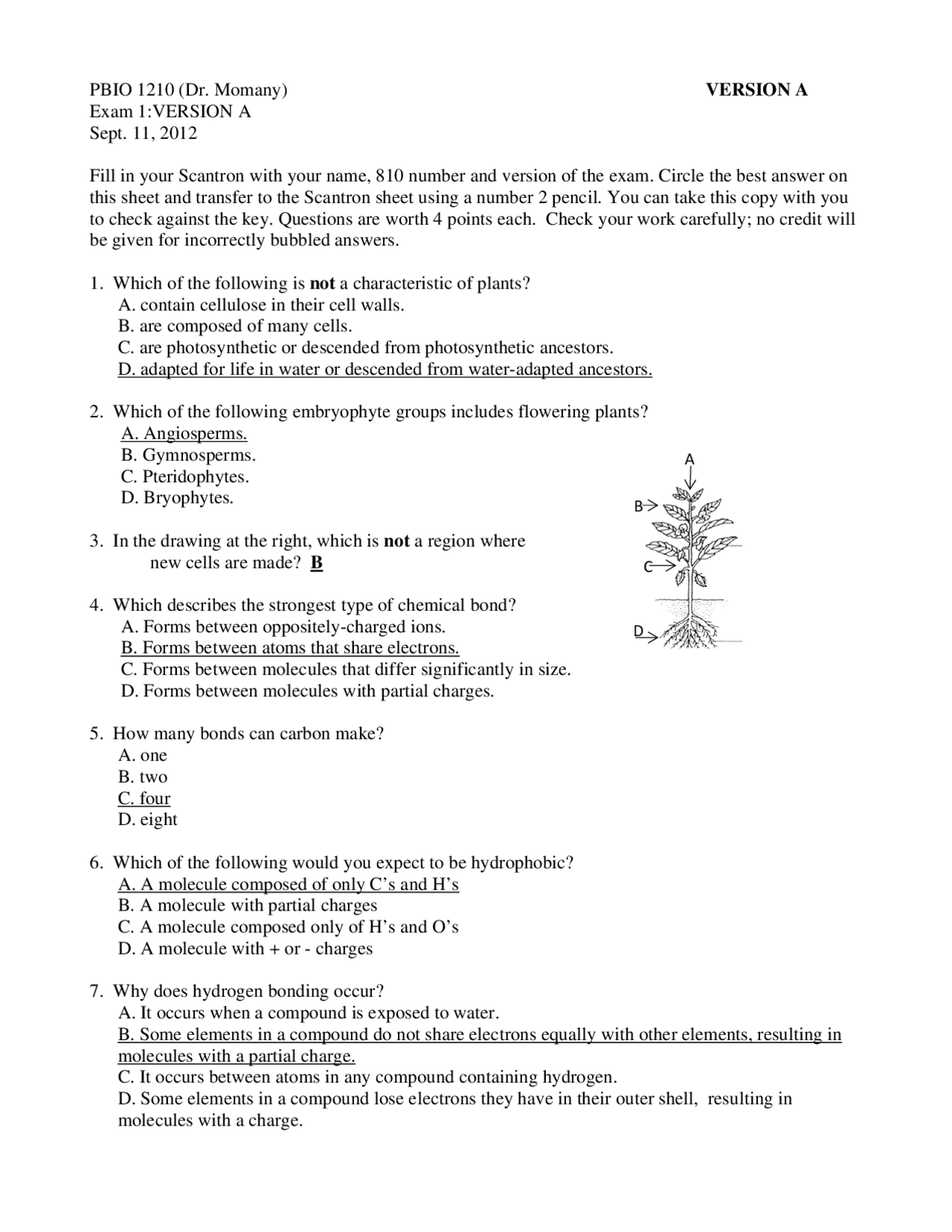 Solved MCQS on Principles of Plant Biology - Exam | PBIO 1210 | Exams ...