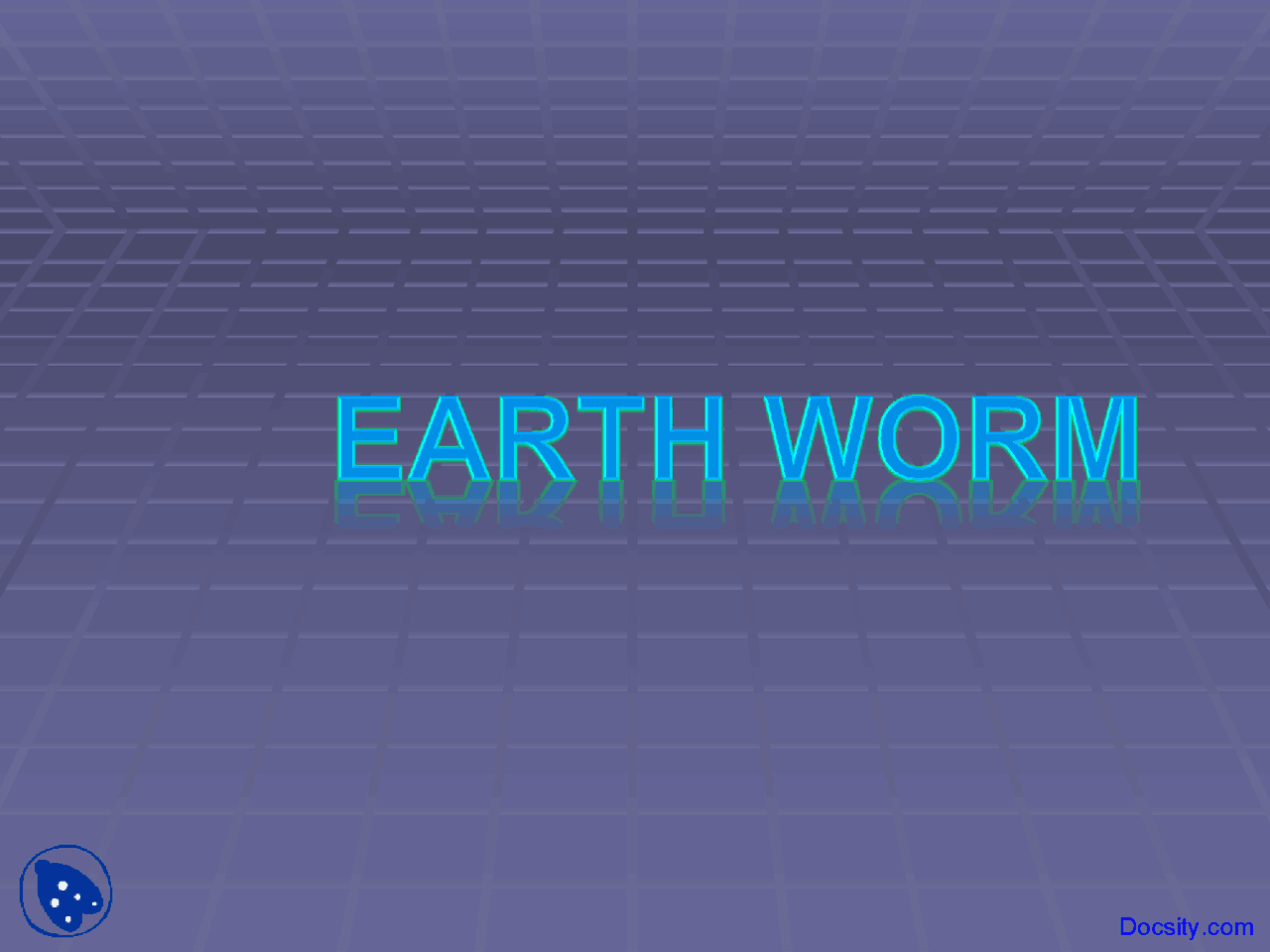 Earthworm - Animal Science - Lecture Slides - Docsity