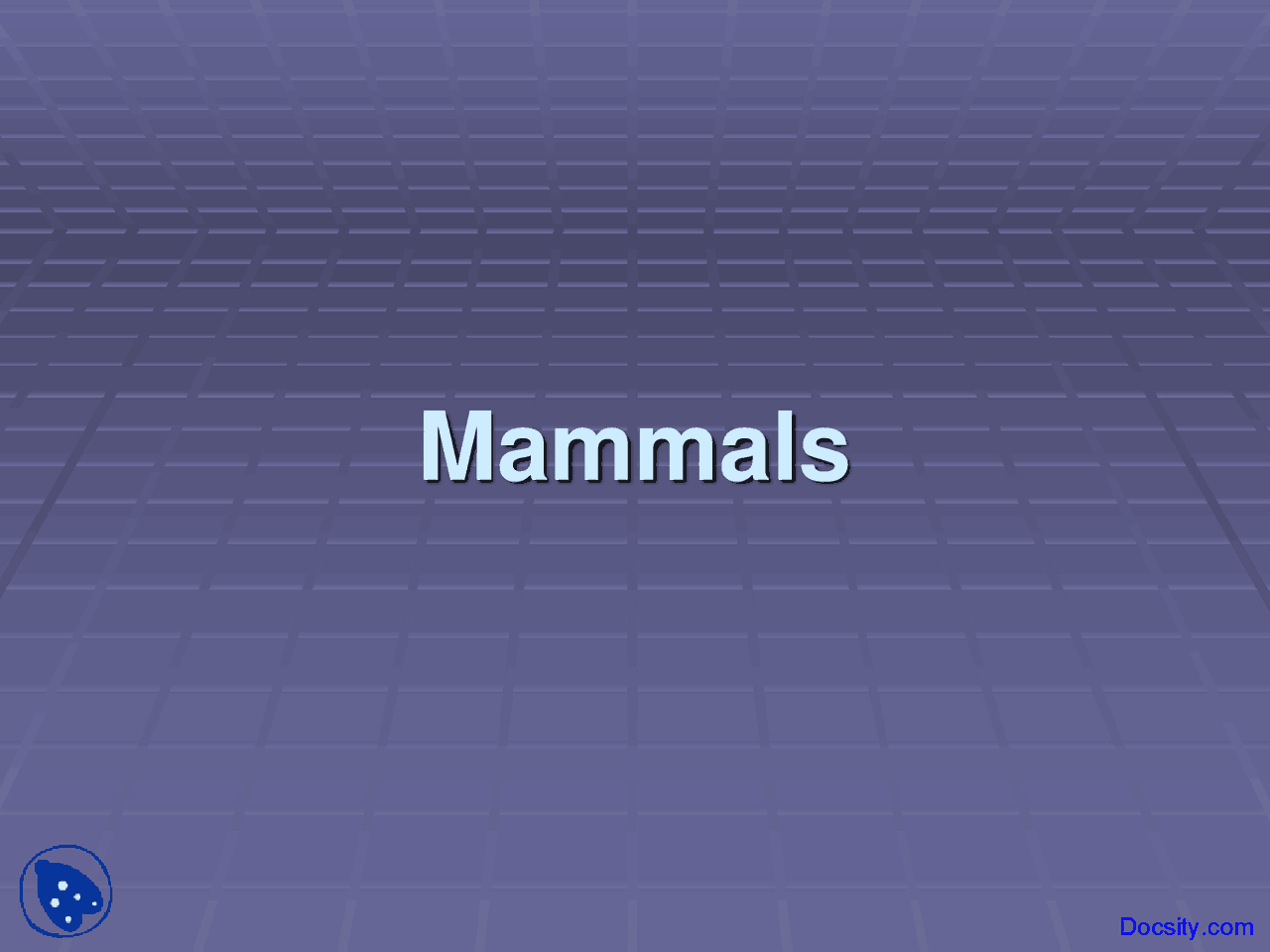 Mammals - Animal Science - Lecture Slides - Docsity