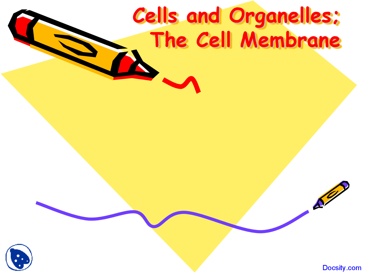 Cell Membrane Tissues And Organs Cell Biology Lecture Slides Docsity