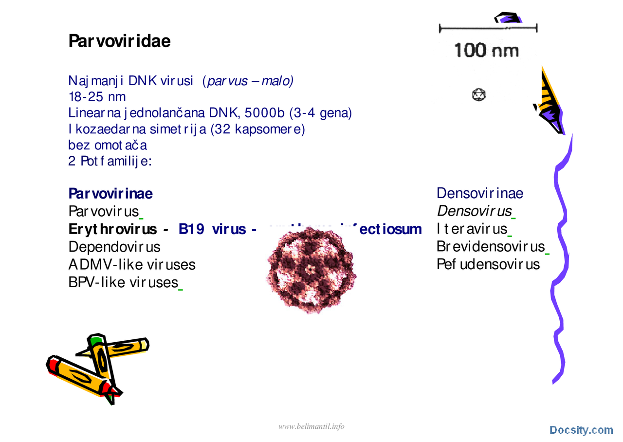 Naukao o virusima-Slajdovi-Virusologija-Medicina (3) | Slajdovi ...