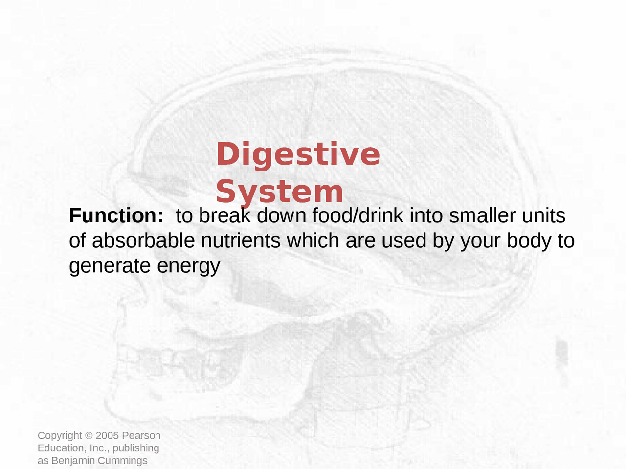Digestive System Lecture Slides Iphy 3410 Docsity