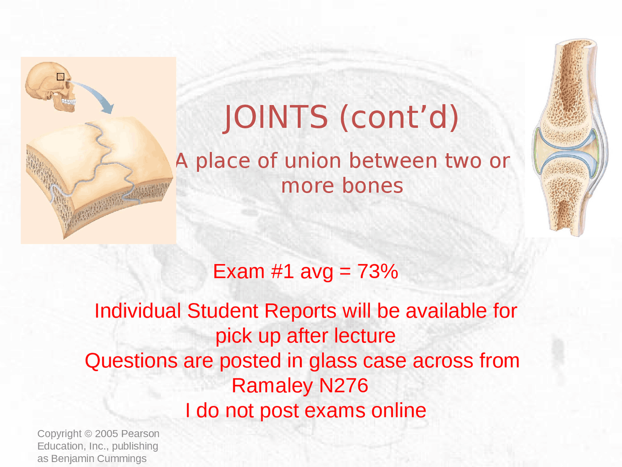 Notes on Joints - Introduction to Human Anatomy | IPHY 3410 - Docsity