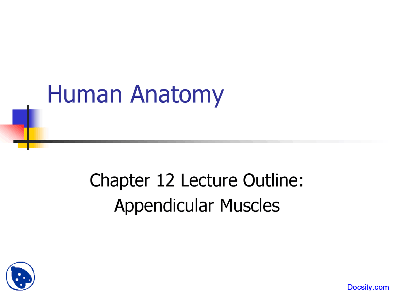 Appendicular Muscles - Anatomy - Lecture Slides - Docsity
