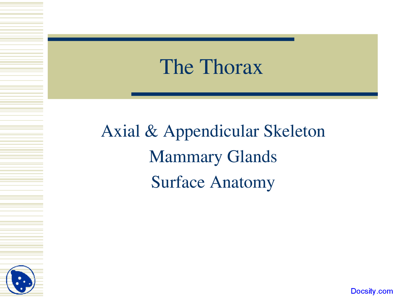 Axial And Appendicular Skeleton Anatomy Lecture Slides Docsity
