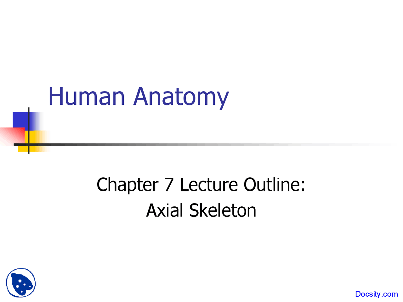 Axial Skeleton Anatomy Lecture Slides Docsity