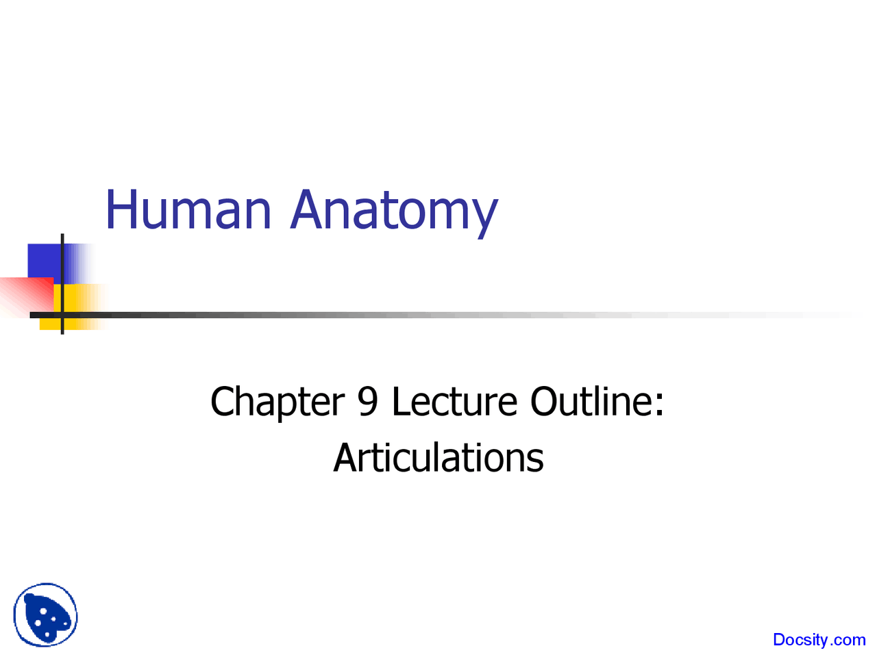 Naming Of Joints Anatomy Lecture Slides Docsity