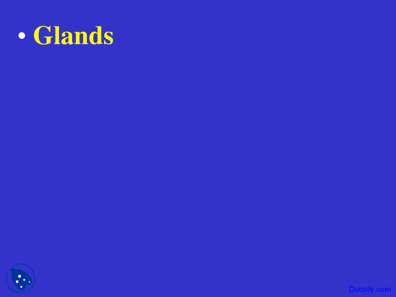 Glands Anatomy Lecture Slides Docsity