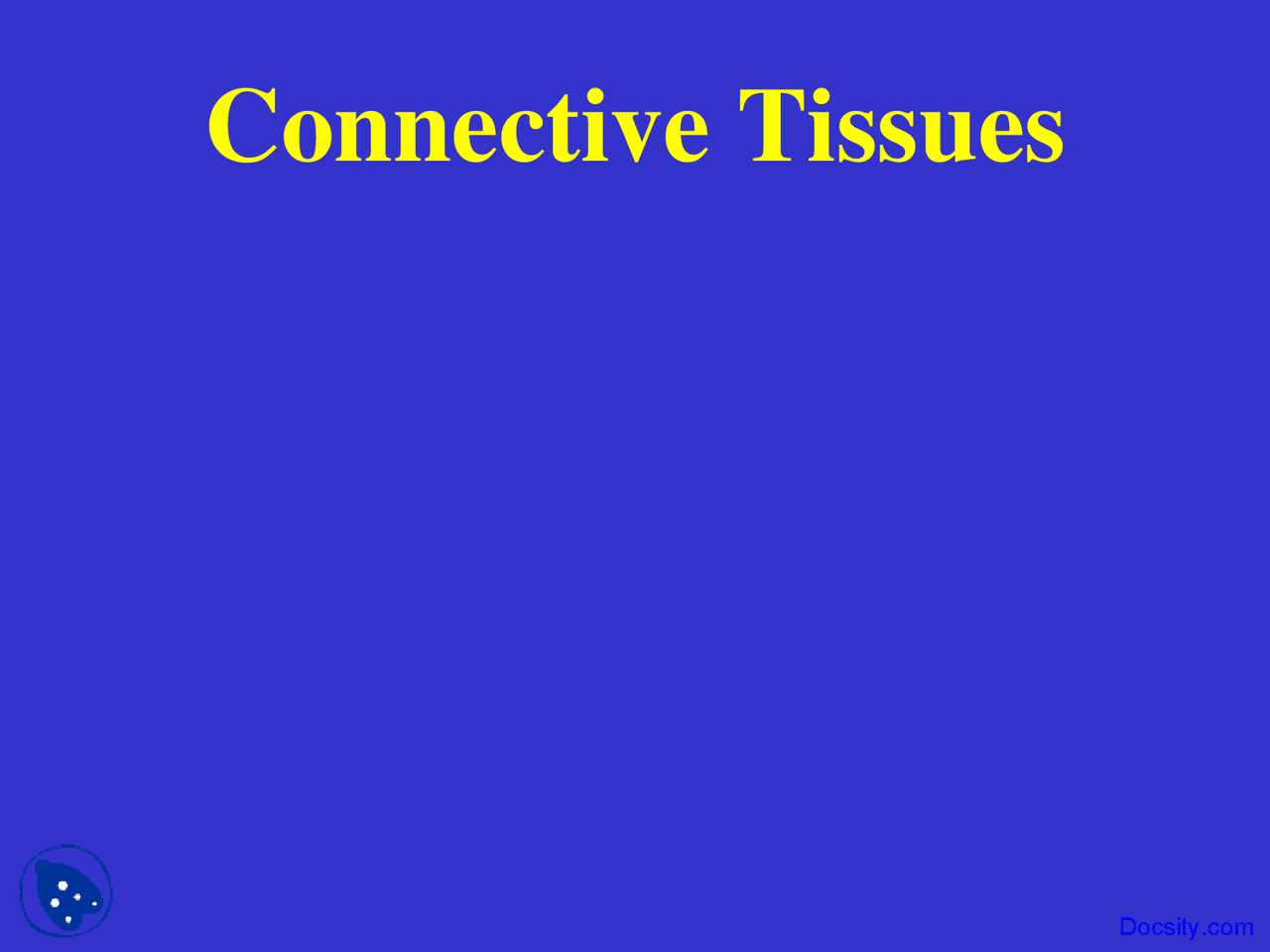 Connective Tissues Anatomy Lecture Slides Docsity
