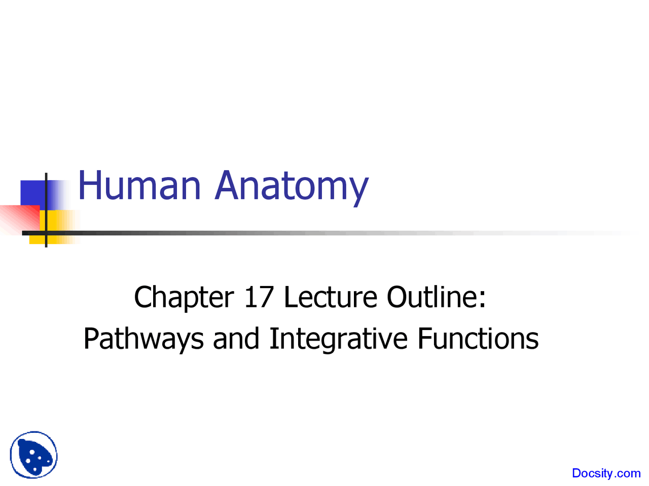 Pathways and Integrative Functions - Anatomy - Lecture Slides - Docsity