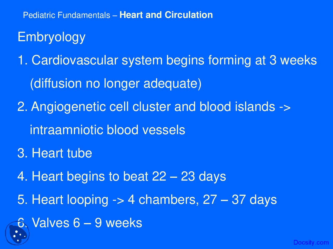 Pediatric Fundamentals Heart And Circulation Anesthesia Lecture