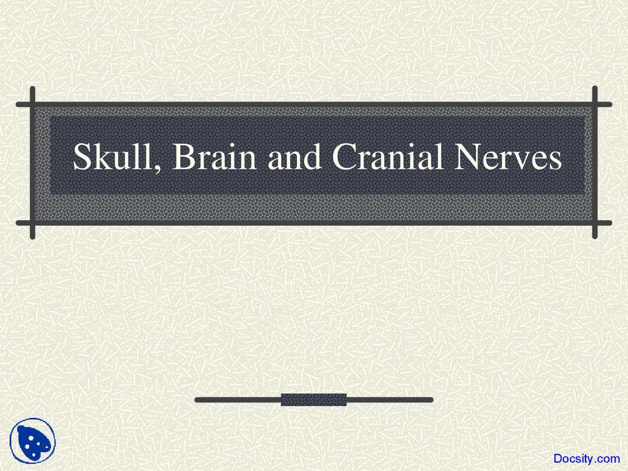 Skull Brain And Cranial Nerves Anatomy Lecture Slides Docsity
