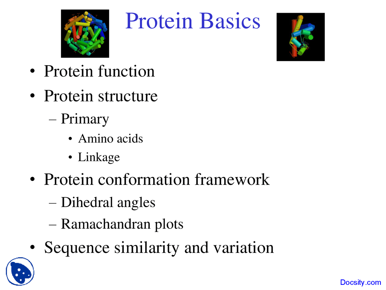 Protein Basics Biochemistry Lecture Slides Docsity