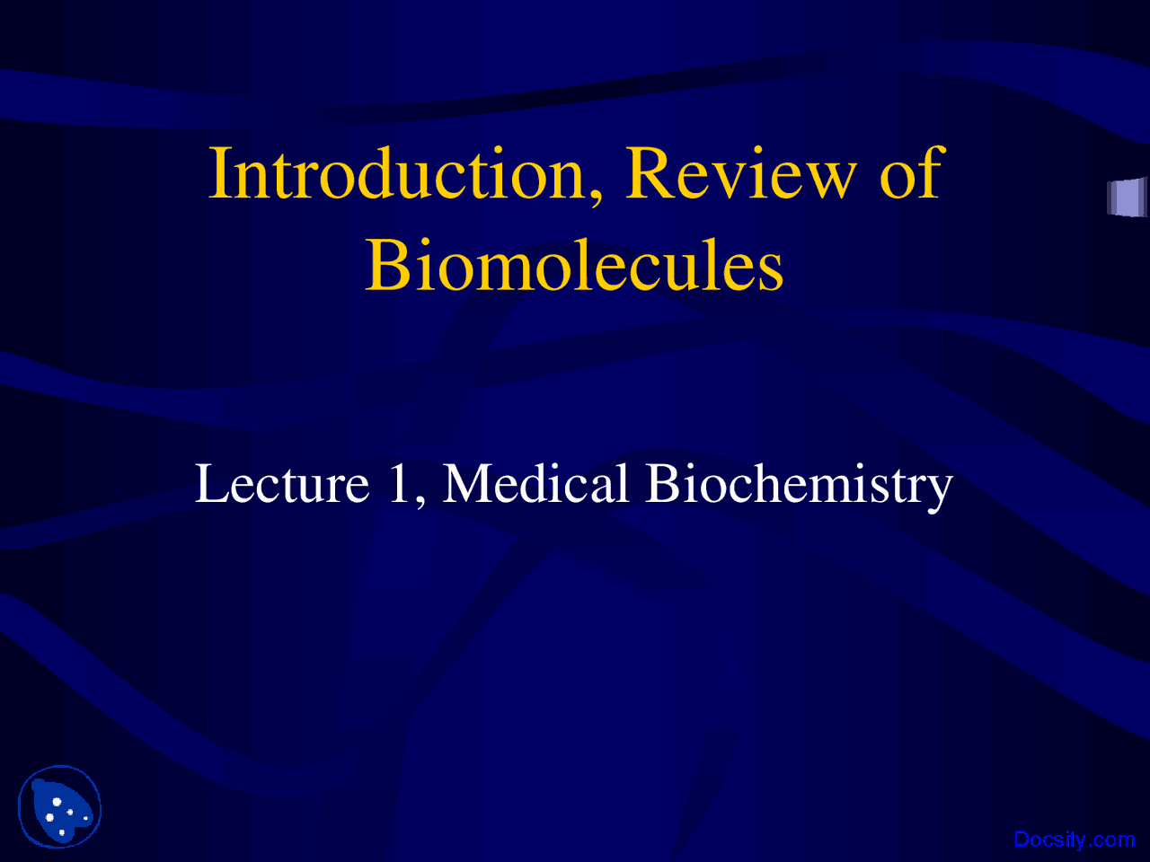 Biomolecules Biochemistry Lecture Slides Docsity