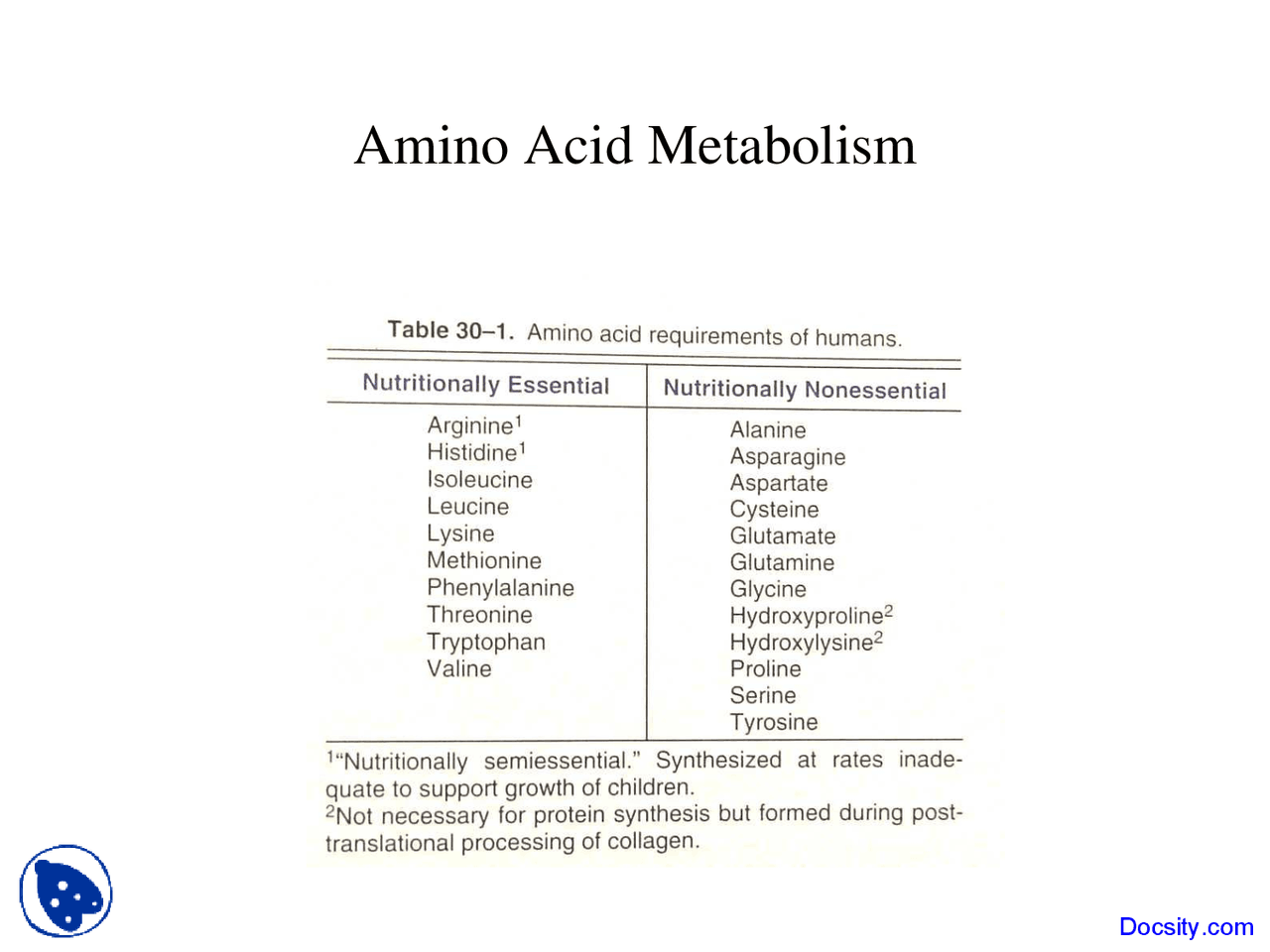 Amino Acid Metabolism Biochemistry Lecture Slides Docsity
