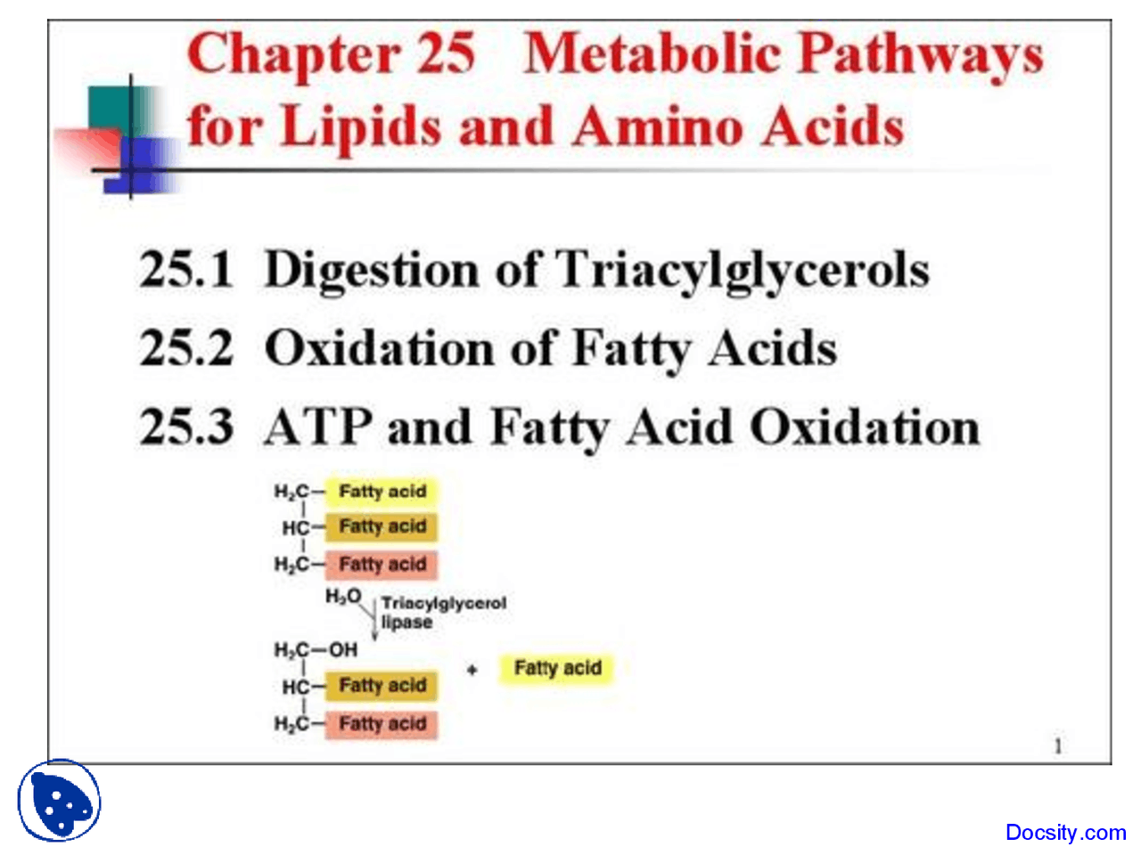Metabolics Pathway For Lipids Biochemistry Lecture Slides Docsity