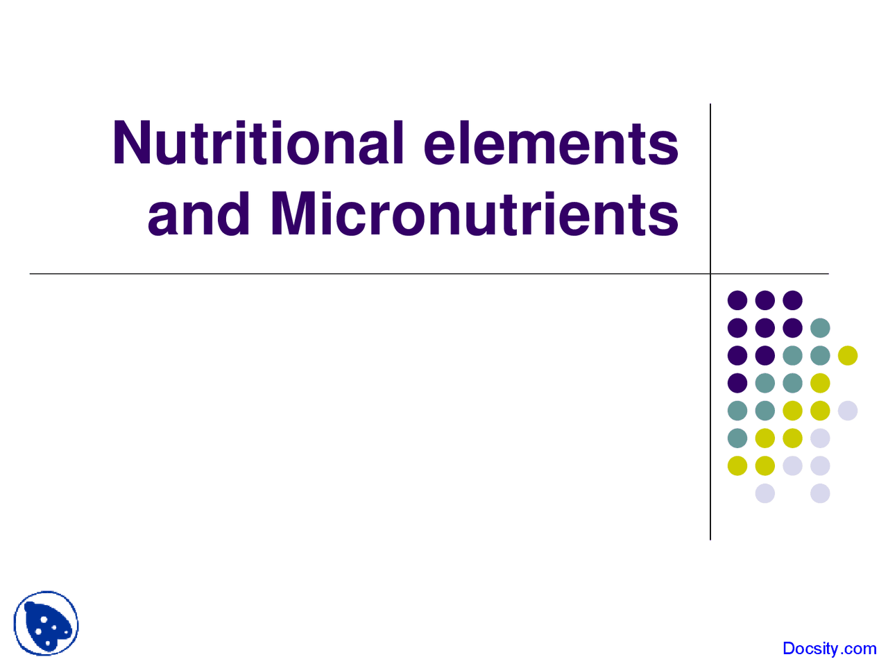 Nutritional Elements And Micronutrients Community Medicine Lecture