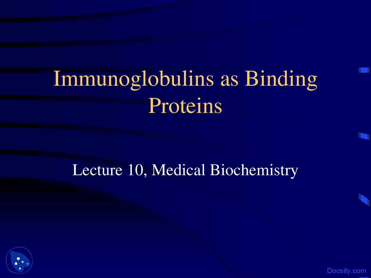 Immunoglobulins Biochemistry Lecture Slides Docsity