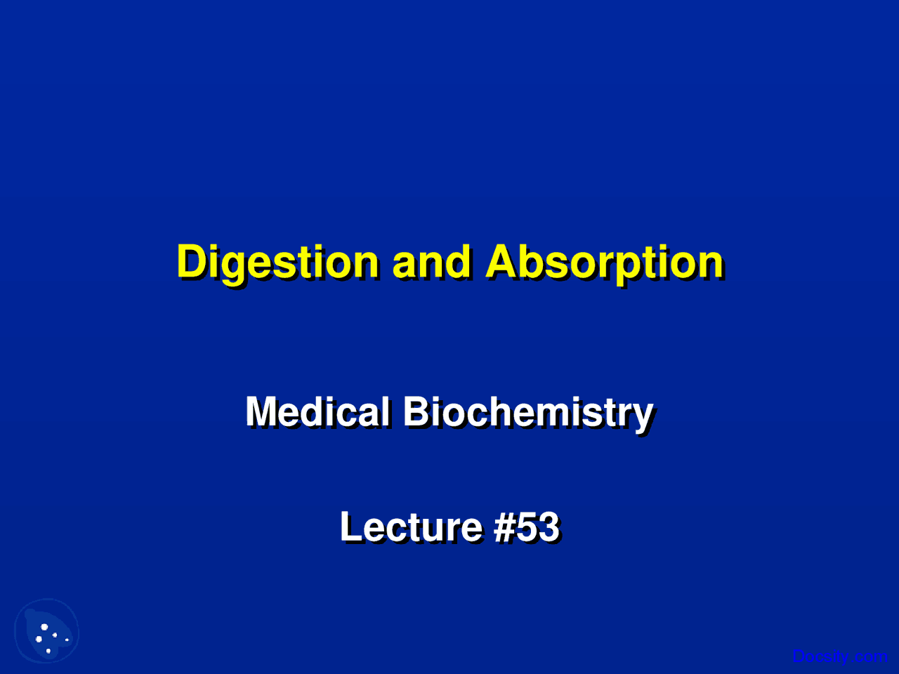 Digestion And Absorption Biochemistry Lecture Slides Docsity