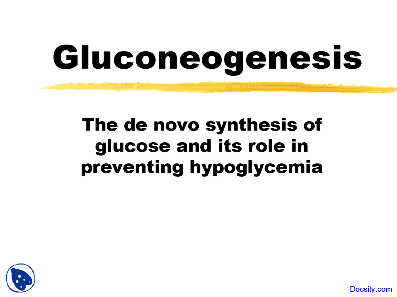 Synthesis Of Glucose Biochemistry Lecture Slides Docsity