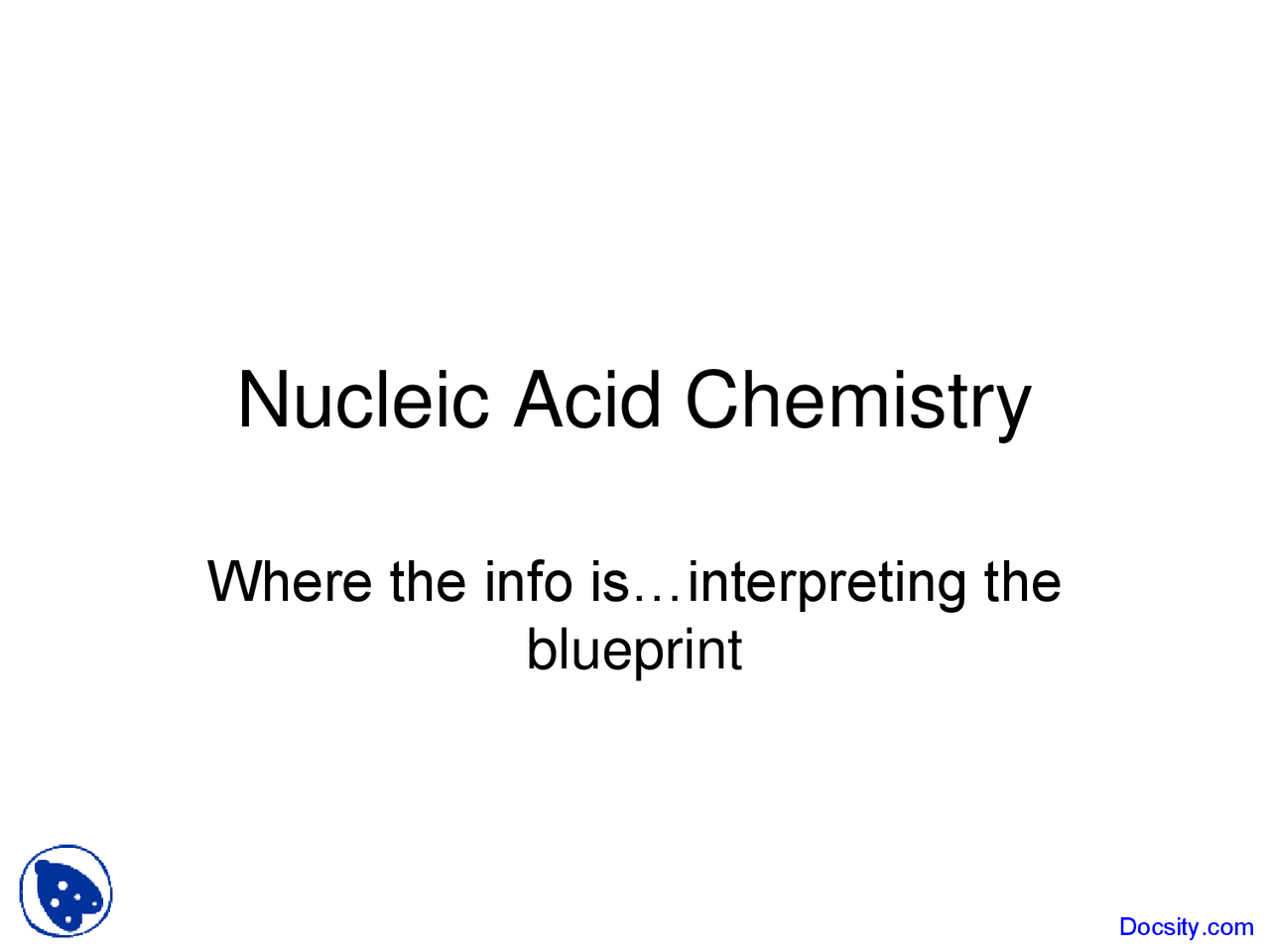 Nucleic Acid Chemistry Biochemistry Lecture Slides Slides Biochemistry Docsity 