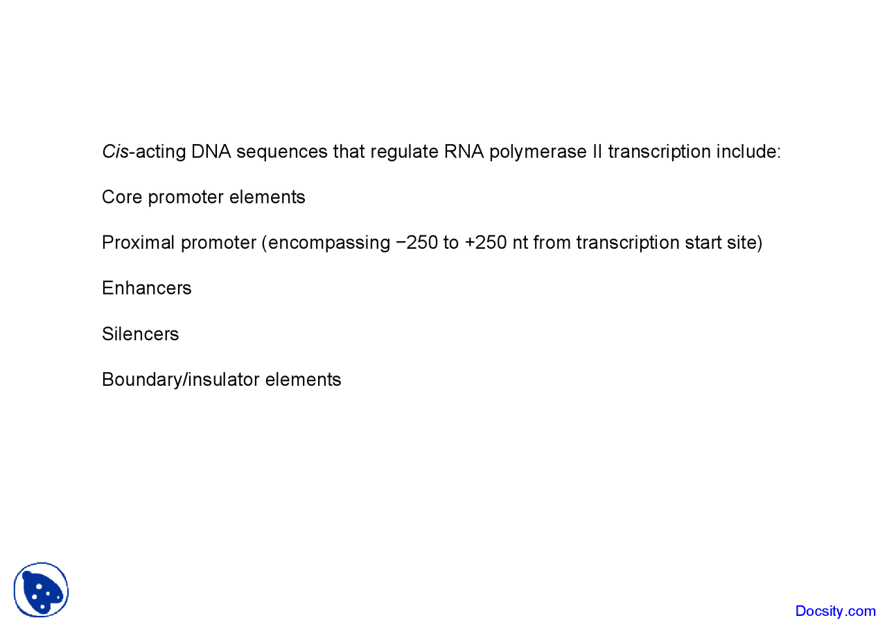 Core Promoter Elements Eukaryotic Gene Expression Lecture Sildes
