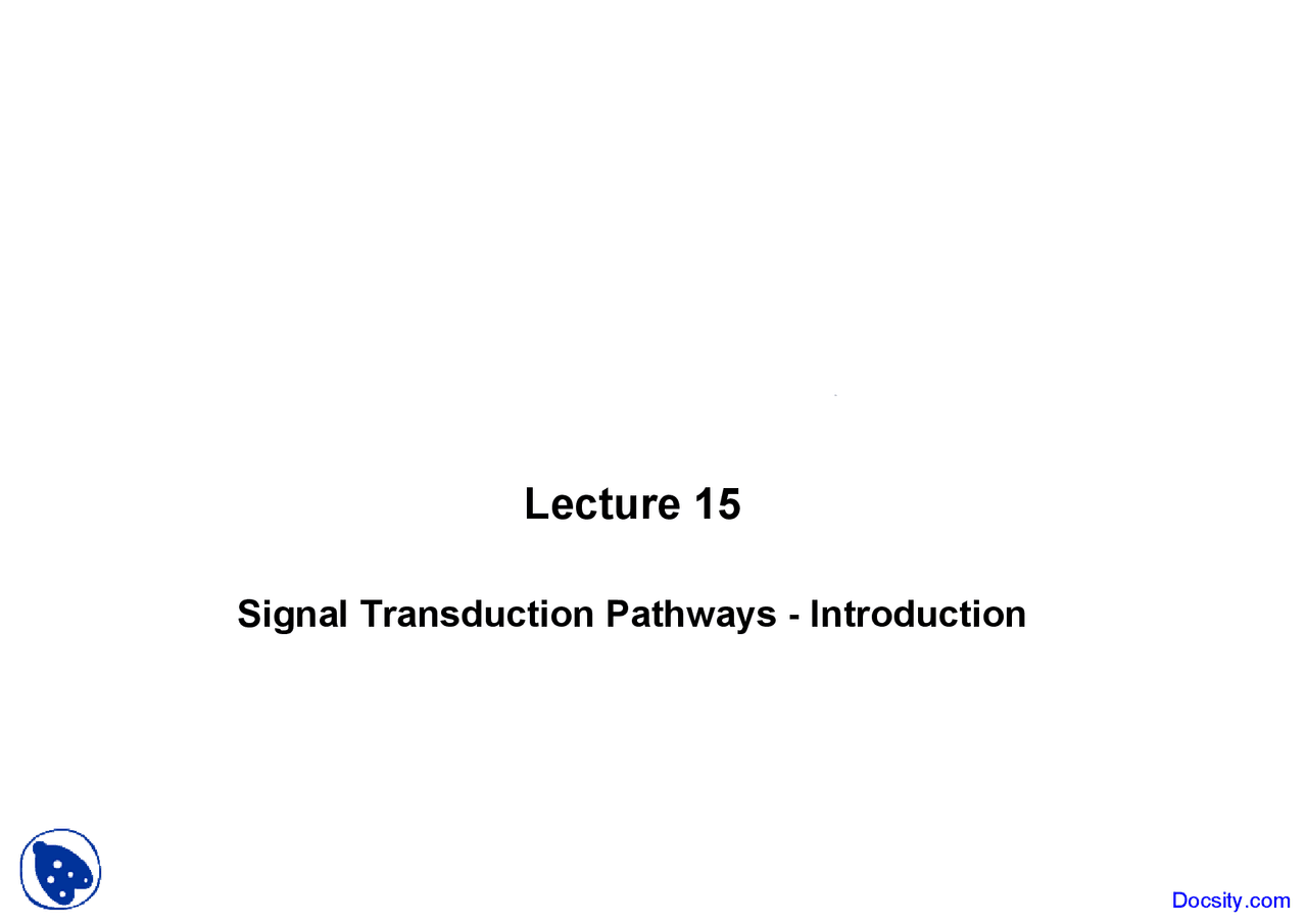 Signal Transduction Pathways Eukaryotic Gene Expression Lecture