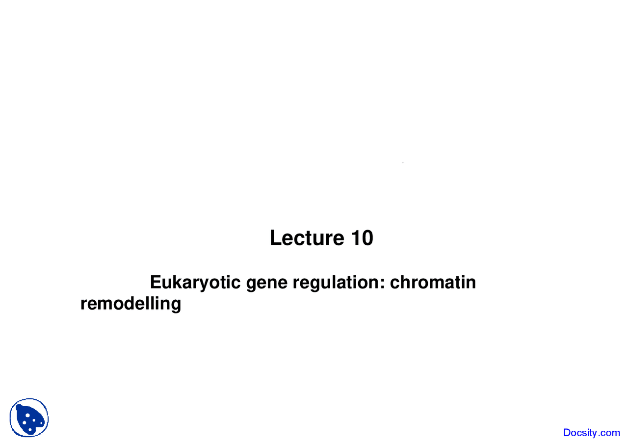 Chromatin Remodeling Eukaryotic Gene Expression Lecture Sildes