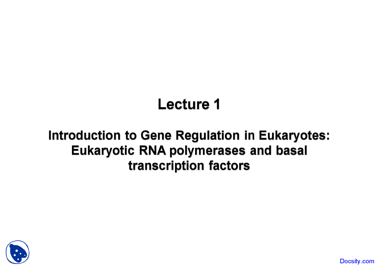 Basal Transcription Factors Eukaryotic Gene Expression Lecture