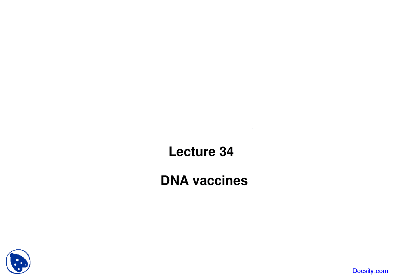 Dna Vaccines Eukaryotic Gene Expression Lecture Sildes Docsity