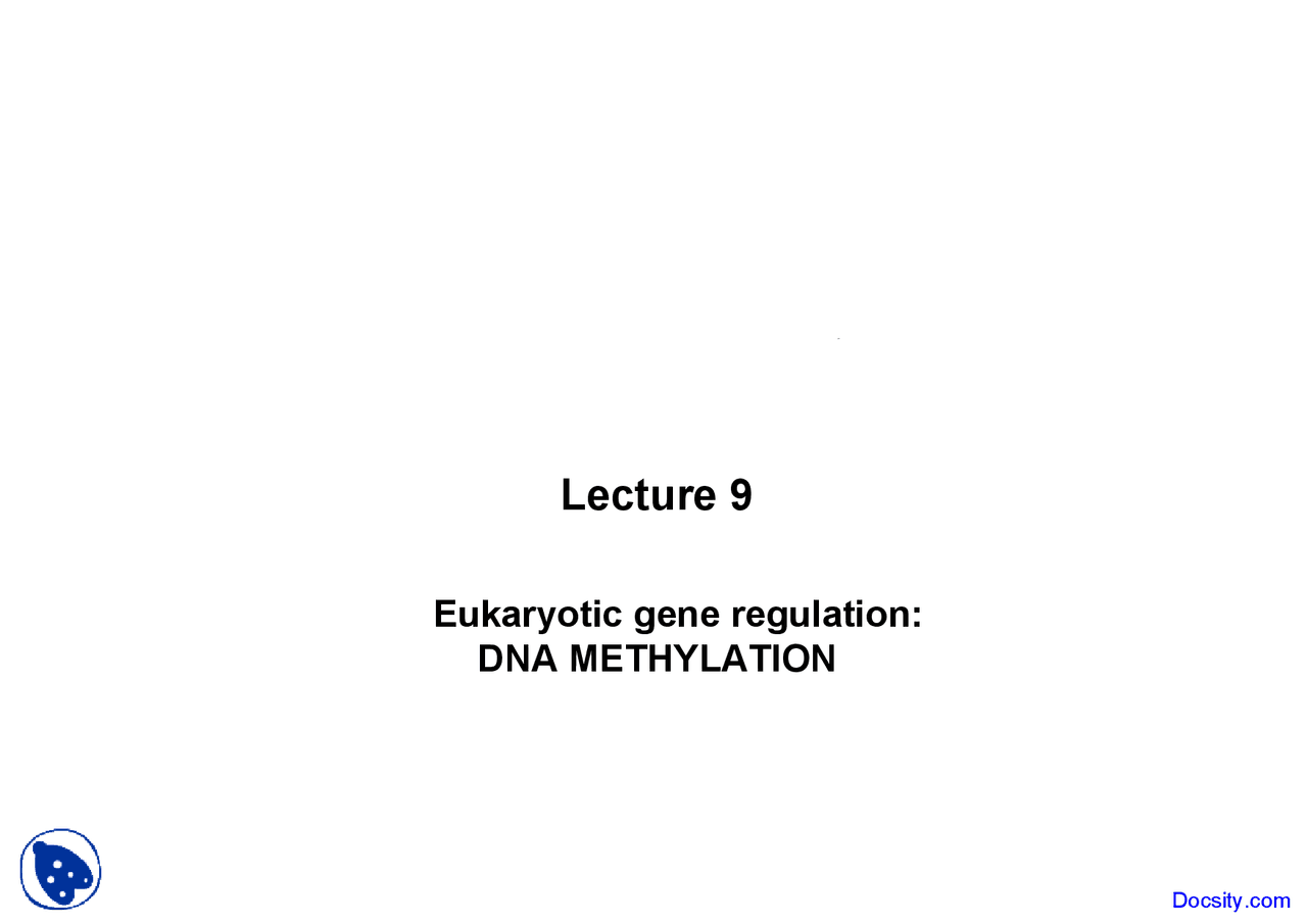 Dna Methylation Eukaryotic Gene Expression Lecture Sildes Docsity