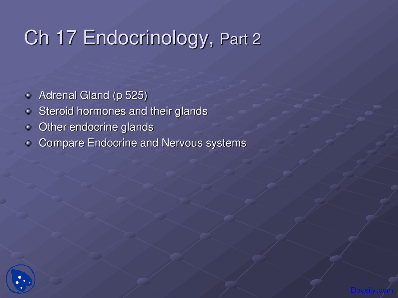 Endocrinology Anatomy Lecture Slides Docsity