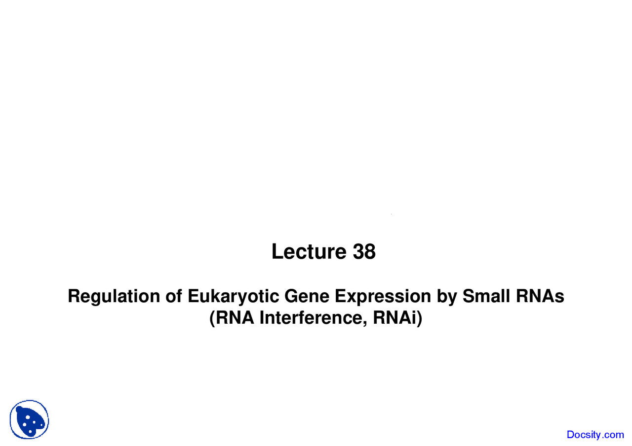 Gene Expression By Small Rnas Eukaryotic Gene Expression Lecture