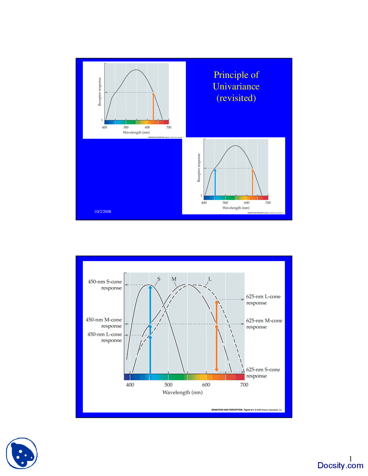Principle Of Univariance Sensation And Perception Lecture Slides Docsity