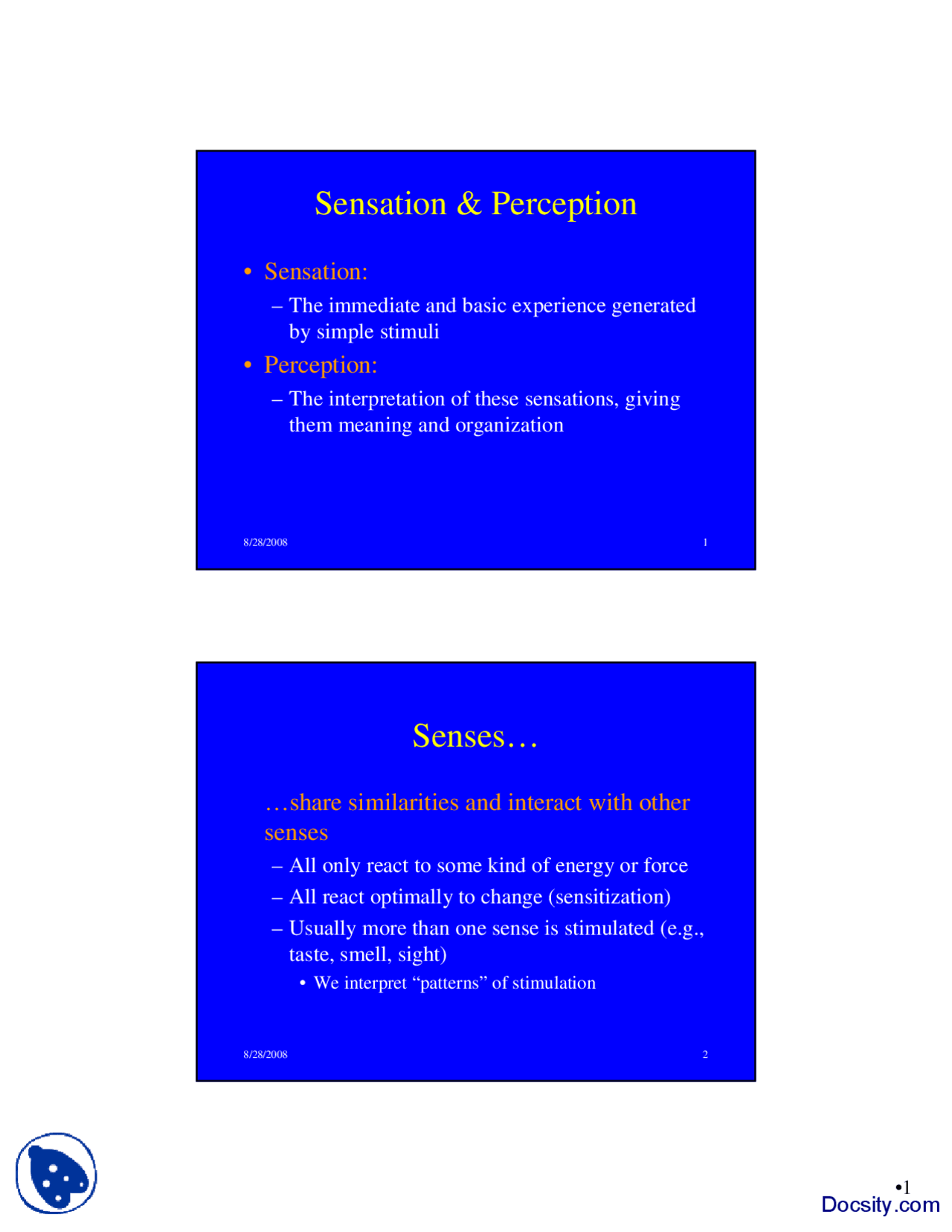 Introduction Sensation And Perception Lecture Slides Docsity