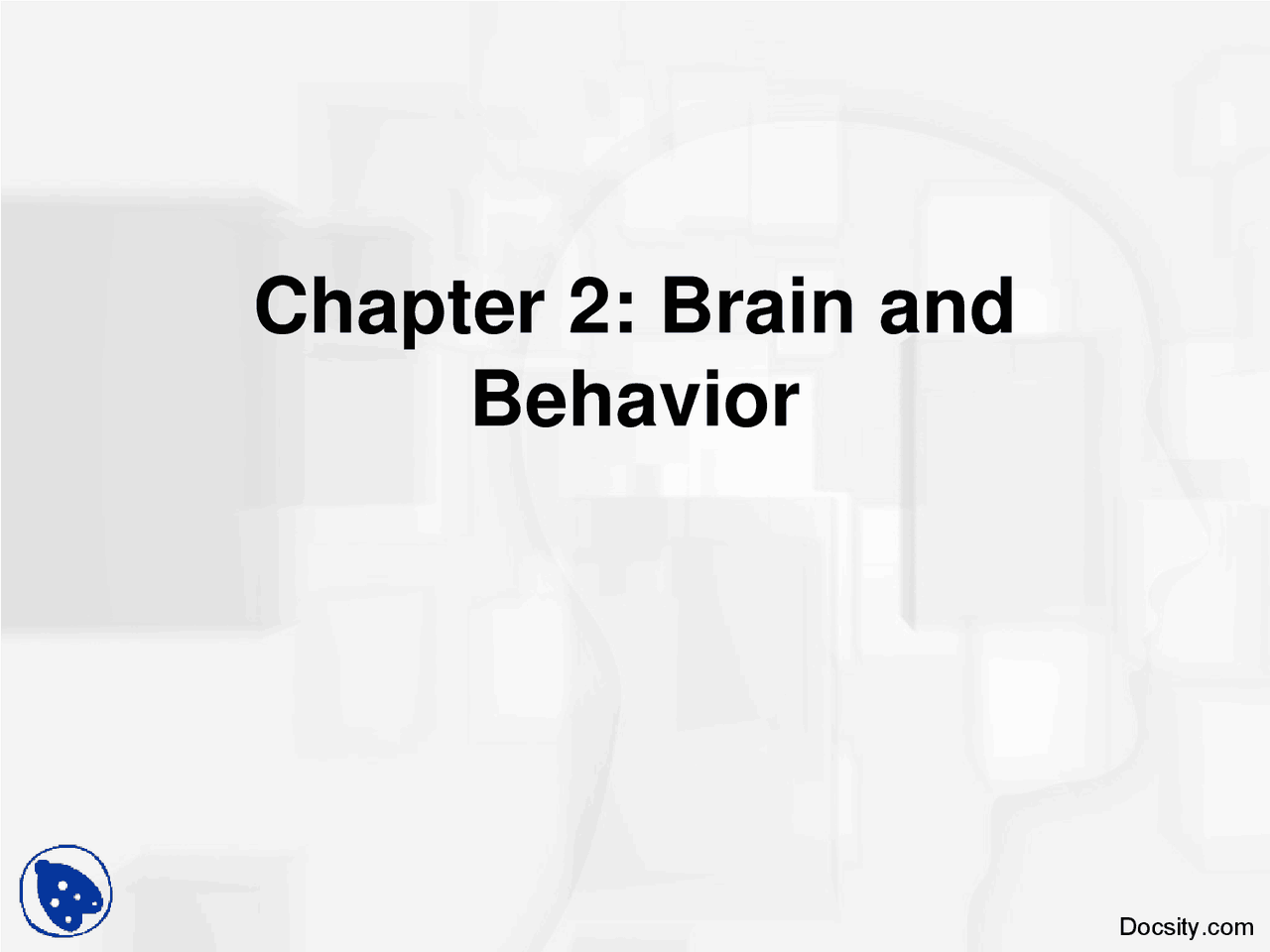 Brain And Behavior Research Methods Lecture Slides Docsity