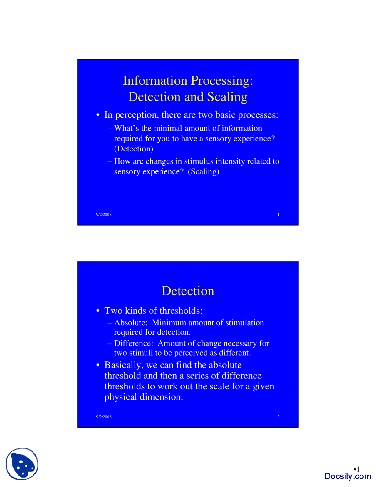 Information Processing - Sensation and Perception - Lecture Slides - Docsity