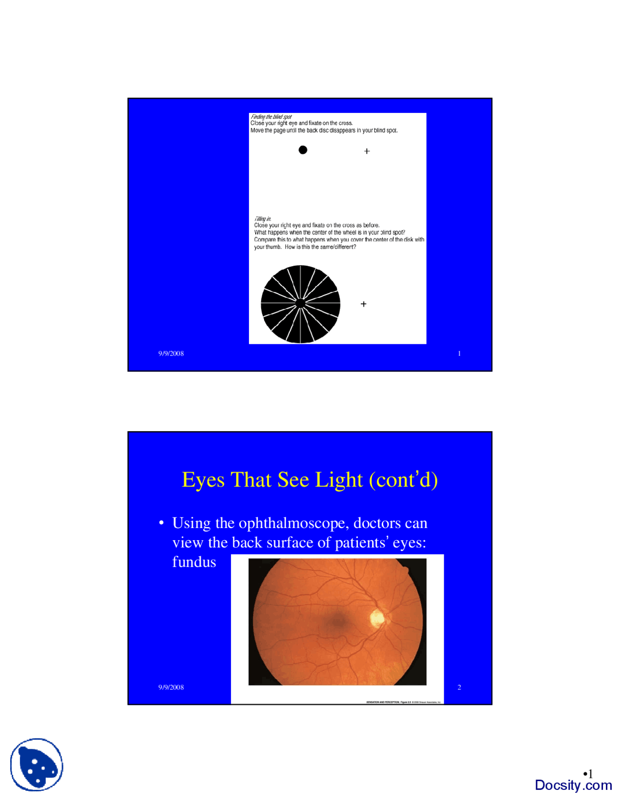 Eyes That See Light Sensation And Perception Lecture Slides Docsity